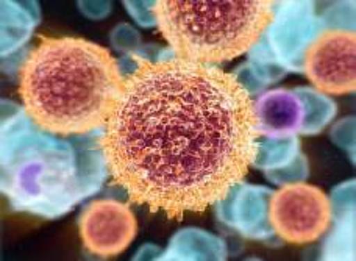 Rituximab: Die B-Zelle als therapeutisches Ziel – rheuma-online