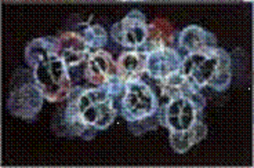 Immunosporin (Ciclosporin, Cyclosporin A): Die Substanz im Überblick ...